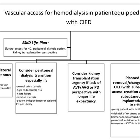 Decision Making On Vascular Access In An Eskd Patient With Cied