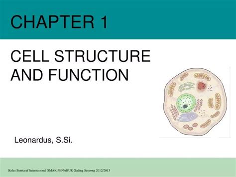What Is Cell And Its Function And Structure Ppt