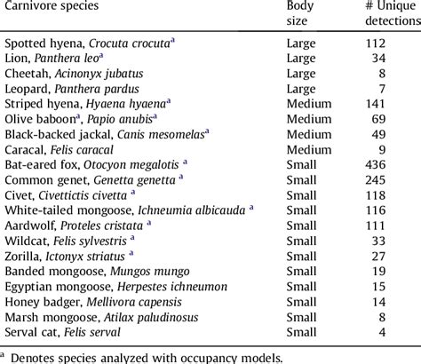 Total Number Of Unique Detections Maximum Value 1 Per Sampling Download Table