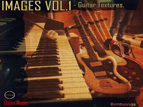 Images Vol 1 Electric Guitar Loop Kit Dolenmusic