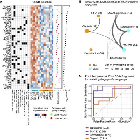 cca45 signature and its accuracy in predicting drug response a the download scientific