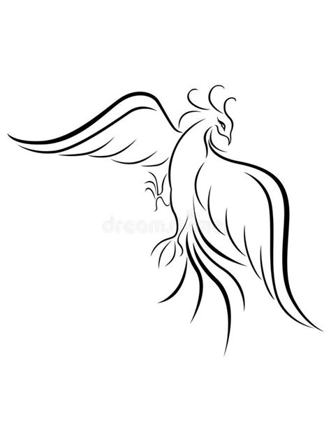 Black Graceful Firebird Contour Stock Vector Illustration Of