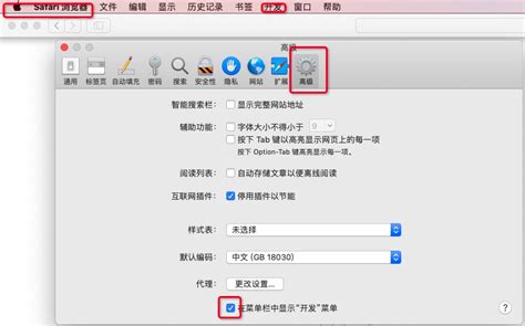 safari ios 真机调试h5 页面打开 safari 浏览器，左上角点击 “safari浏览器” “偏好设置 掘金