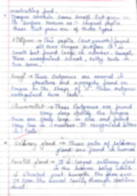 SOLUTION Digestive System Structure Of Human Body Biology Studypool