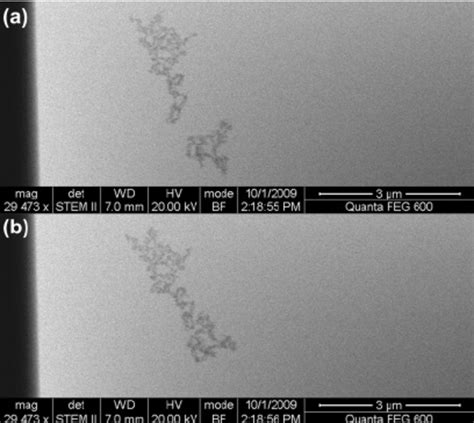 Cluster Cluster Aggregation Two Distinct Clusters A Come Together To