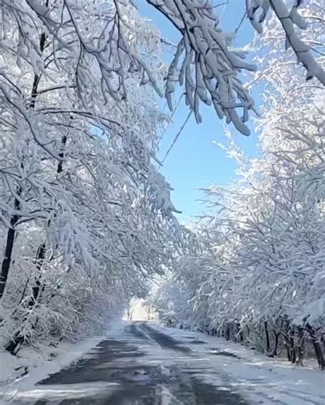 Mohammad Hossein Zadeh On Linkedin Traveling Tagsforlikes Vacation