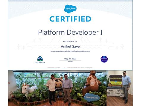 Aniket Save On Linkedin Pd1 Salesforce Persistentsystems Fsc 10 Comments