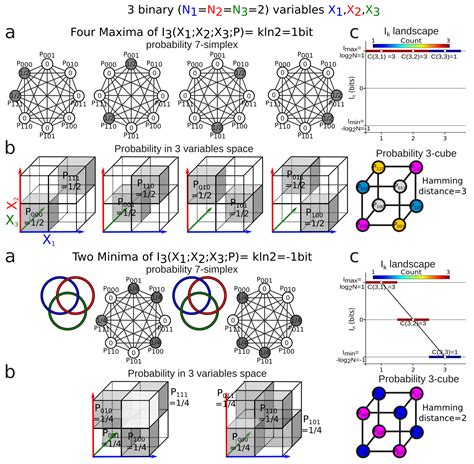 Topological Information Data Analysis