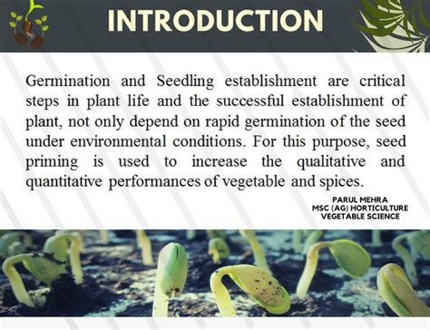 Advances In Seed Priming Pdf Agriculture Industries