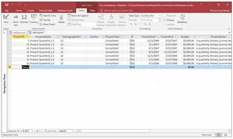 ms access adding data assignment help through online tutoring sessions