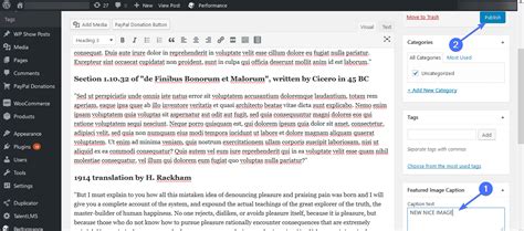 How To Add Image Captions In Wordpress Step By Step Guide