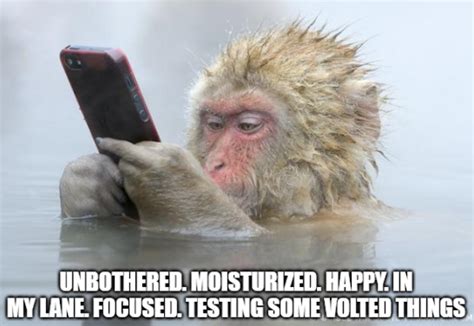 Volt Inu On Twitter It S Even More VOLT Ed Once You Start Using It Https T Co VR0VB0IQtv