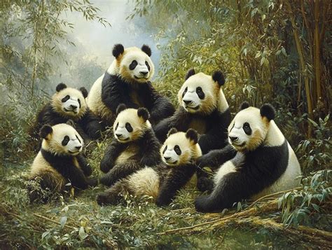 As Llms Grow Is It Possible That Python Devs Are Going To Kick Pandas