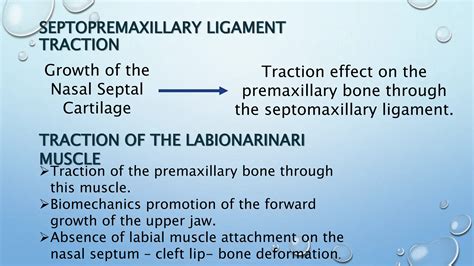 Servosystem Theory Cybernetic Theory By Petrovic PPTX