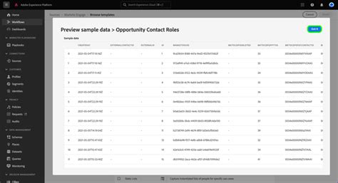 Create A Sources Dataflow Using Templates In The Ui Adobe Experience Platform