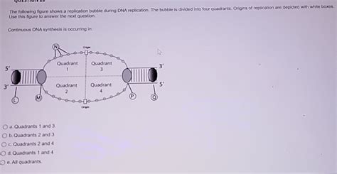 Solved The Following Figure Shows A Replication Bubble Chegg Com