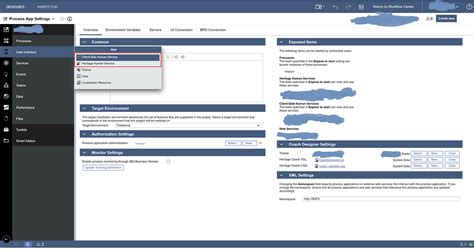 Interfaces Do Usuário No Bpm Ibm Human Services Serviços Humano