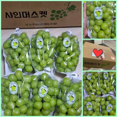 💓🎁달콤상콤한 선물🫒🫐샤인머스캣 한 박스 등장🎁💓 뉴스트림