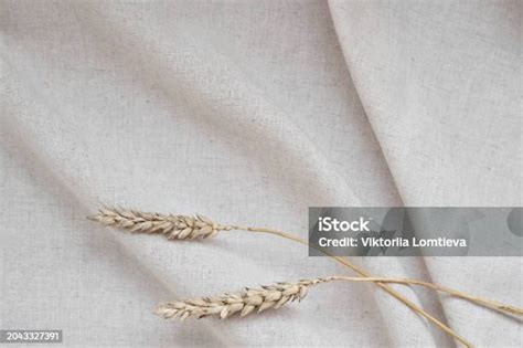 결혼식을위한 미적 미니멀리스트 꽃 배경 비즈니스 브랜드 디자인 서식 파일 중성 베이지 색 주름과 자연광 그림자가있는 부드러운 흐릿한 린넨 패브릭 말린 초원 잔디 작은 이삭