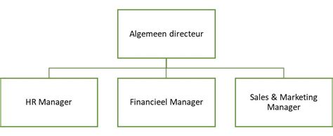 Organisatiestructuur Afstemmen Op Het Bedrijf Prevento Management