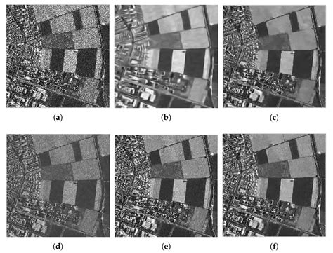 A Boosting SAR Image Despeckling Method Based On Non Local Weighted Group Low Rank Representation
