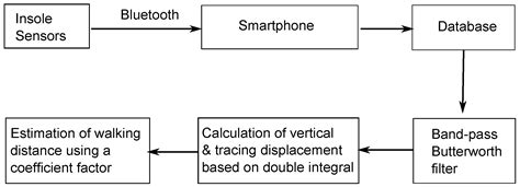 Stride Counting In Human Walking And Walking Distance Estimation Using