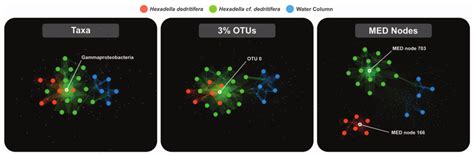 Minimum Entropy Decomposition A New Clustering Algorithm