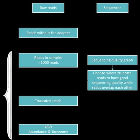 Pipeline From The Dada2 Output To The Phyloseq Objects With Only The