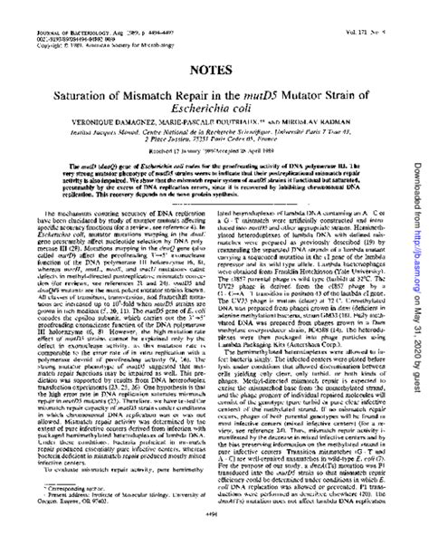 Pdf Saturation Of Mismatch Repair In The Mutd5 Mutator Strain Of