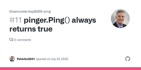 pinger ping always returns true · issue 11 · bluemurder esp8266 ping