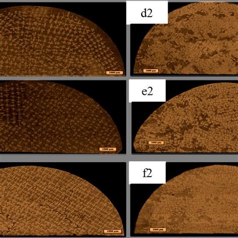 Schematic Illustration Of Thermoelectric Magnetic Convection Of Download Scientific Diagram
