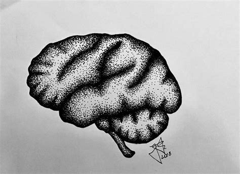 Anatomically Inaccurate Drawing Of A Brain Drawings Art B Rain