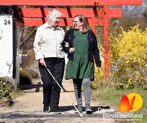 Vil Folketinget Hjælpe ældre Blinde Eller Er Det Tom Snak Alt Det Med