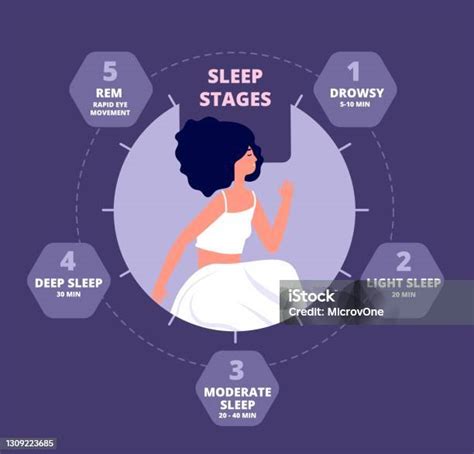 수면 주기 건강한 생물학 호르몬 신체 노출 수면 반복 다이어그램 멜 라 토 닌 뇌 반응 야간 리듬 터 벡터 포스터 잠자기에 대한 스톡 벡터 아트 및 기타 이미지 Istock