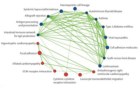 Immune Pathways Showing Signifi Cant False Discovery Rate Download