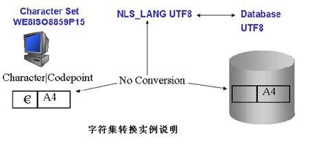 循序渐进oracle:使用csscan辅助字符集转换以及乱码的产生 墨天轮 循序渐进oracle:使用csscan辅助字符集转换以及乱码的产生 墨天轮