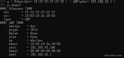 基于scapy的传统网络攻击实现 使用scapy伪造源ip发送udp包 在python下使用scapy可以实现伪造源ip发送数据包的目 csdn博客
