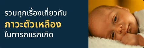 Diarrhea In Babies A Guide To Causes And Solutions Eqt Srpc