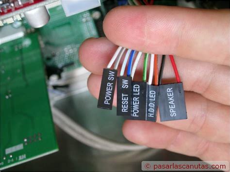 P Q P I Informatica Conectores De Placa Base