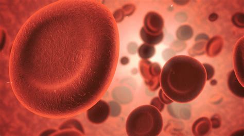 Mastering Anticoagulation Principles And Practices For Effective