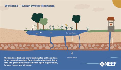 Groundwater Management Techniques At Rebecca Patrick Blog