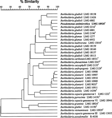 dendrogram derived from the unweighted pair group average linkage of