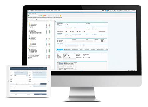 Seamless Integrated Sap Erp Add On For Optimized Variant Configuration