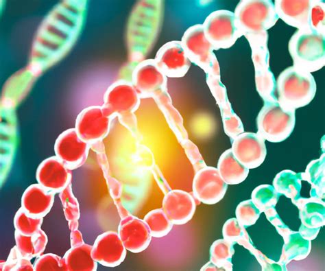 Neet Syllabus Simplified Molecular Basis Of Inheritance Neet Blog