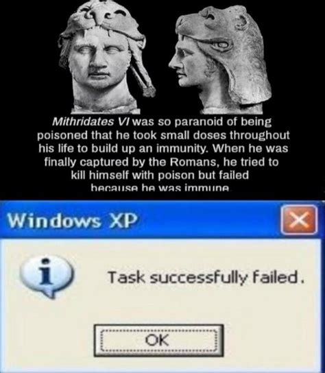 Task Successfully Failed Rhistorymemenetwork Task Successfully Failed Rhistorymemenetwork