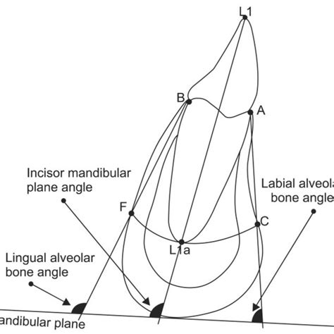 Definition Of Angular Measurements Abbreviations Were Given In Figure Download Scientific
