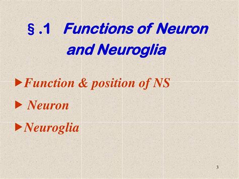 Ppt Functions Of Nervous System Powerpoint Presentation Free