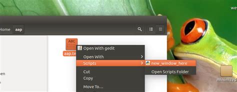 Scripts Open Another Instance Of Current Directory In Nautilus Ask