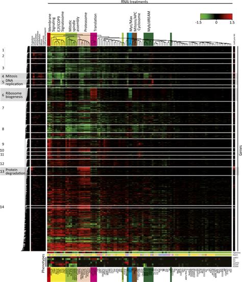 Two Dimensional Clustering Of The Expression Profiling Data Samples