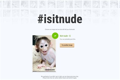 Nude Assigns R Rating To Hairless Cat And Flesh Furniture WIRED UK